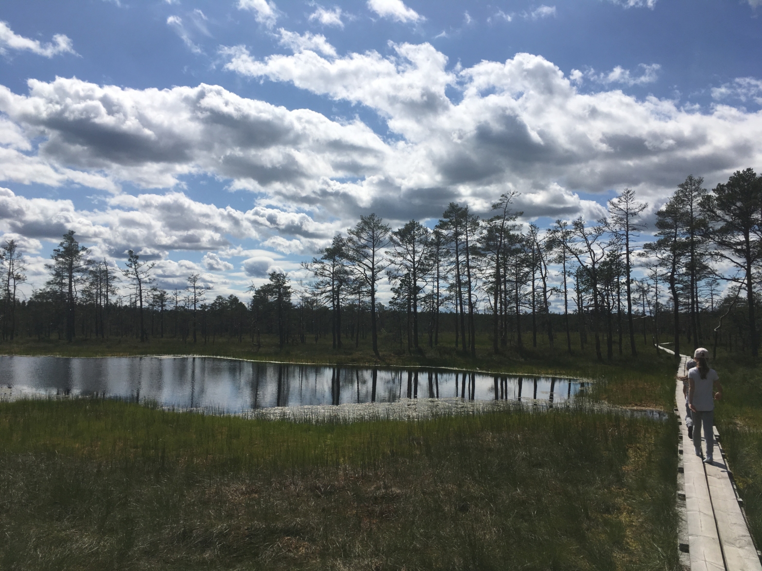Juksi maja spordipäev Terve Eesti Eest - Liikumisharrastuse ...